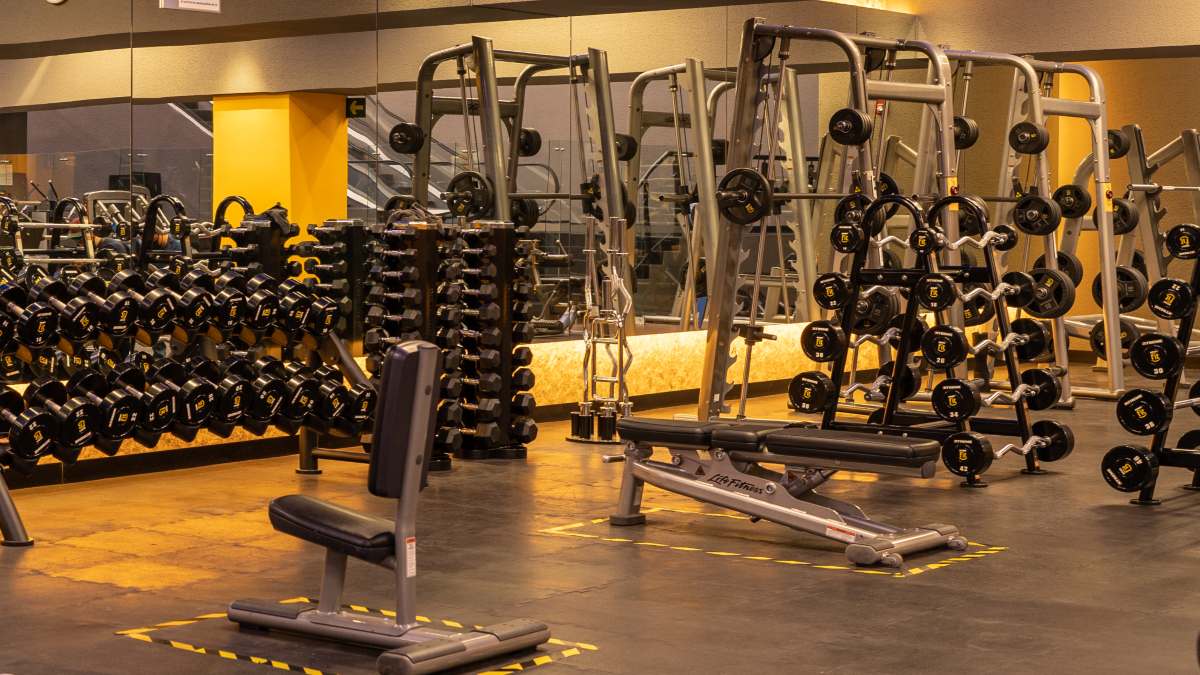 ¿Qué es Smart Fit?, ¡La cadena de gimnasios más grande en México ...